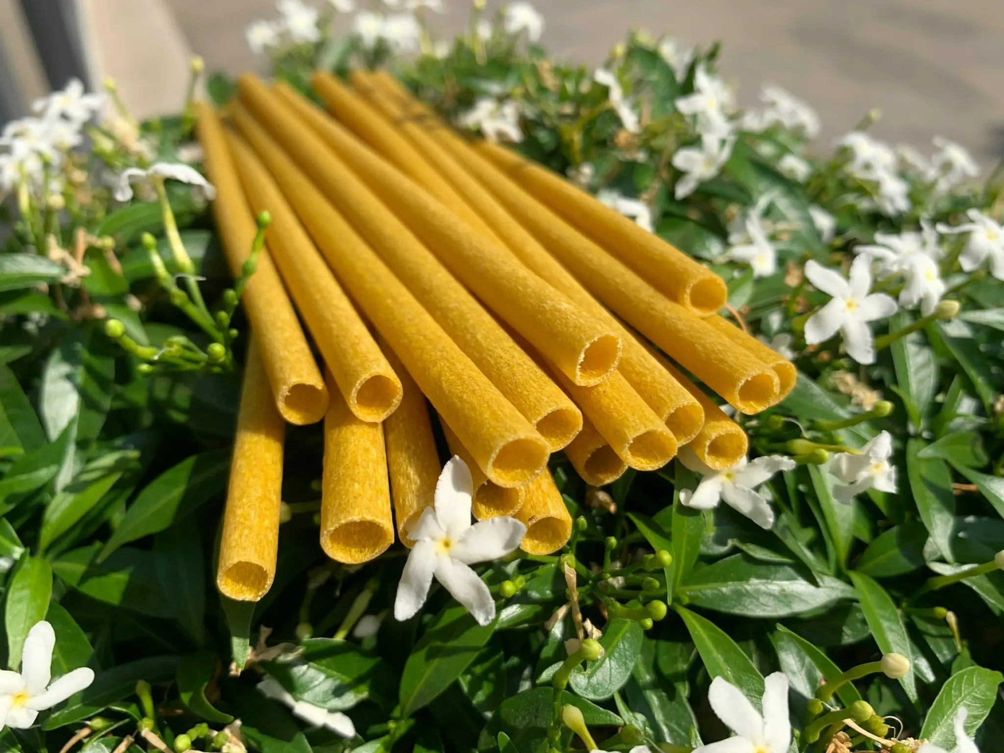 Factory Supplier Eco Friendly Biodegradable Straws Bulk Bamboo Straws ...