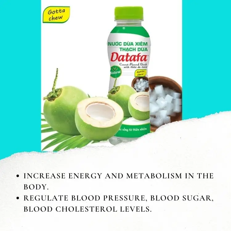 DATAFA Nata De Coco - Enjoy Fresh Coconut Juice from Vietnam