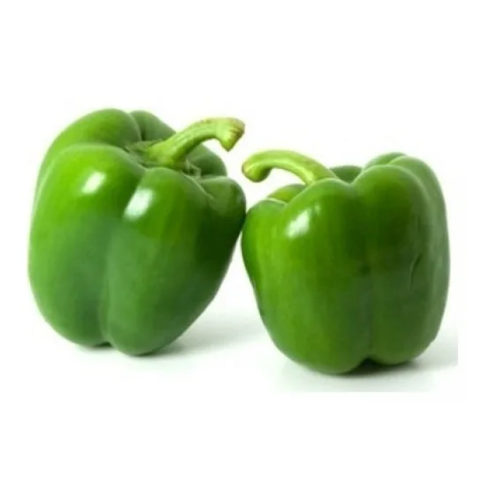 Fresh Capsicum Fresh Bell Pepper Egypt High Quality Fresh Sweet Pepper ...