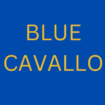 Company Overview - BLUE CAVALLO