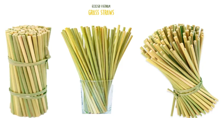 Eco2go Vietnam Dried Thick Grass Drinking Straws-Biodegradable Eco ...