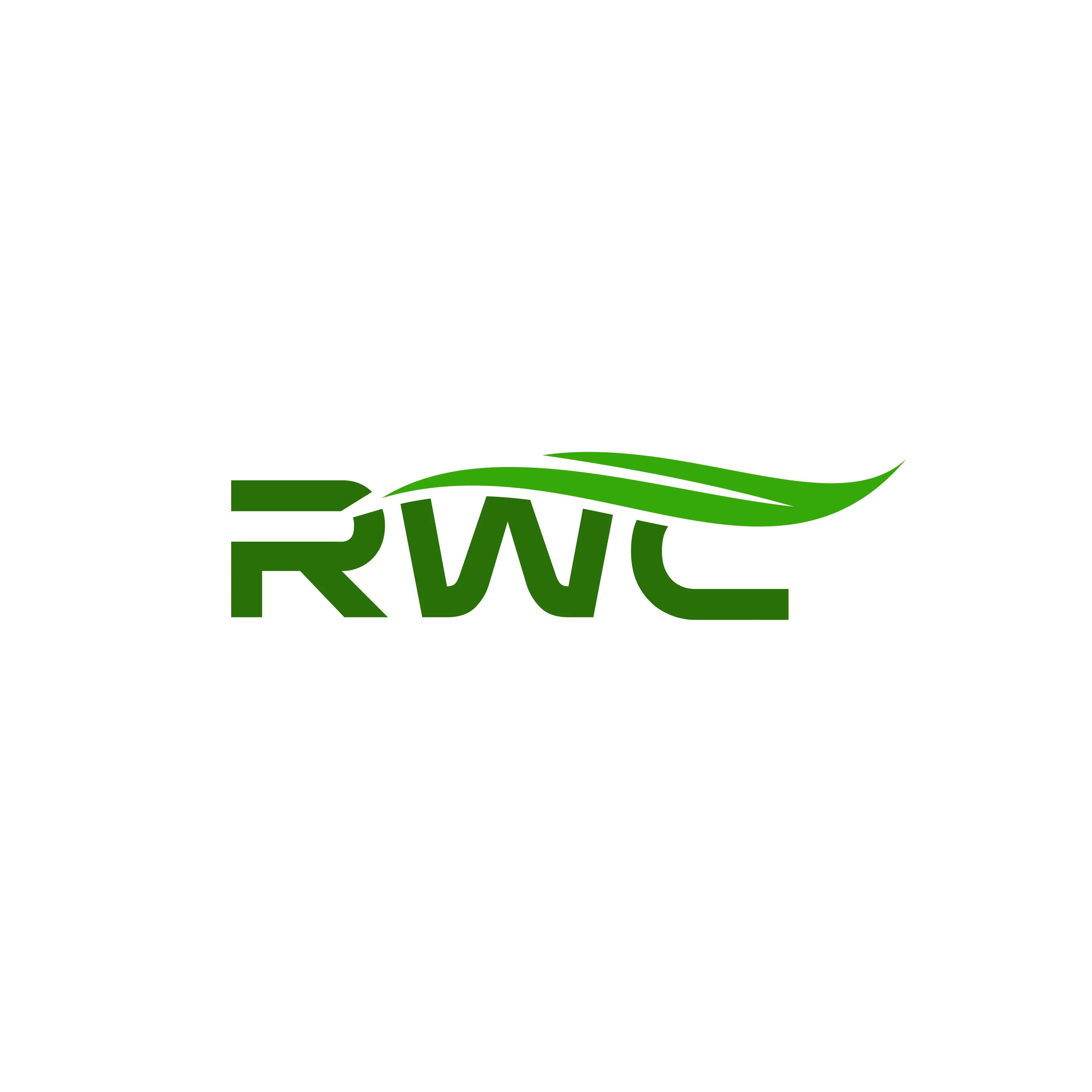 Company Overview - Shenzhen Rwc Technology Co., Ltd