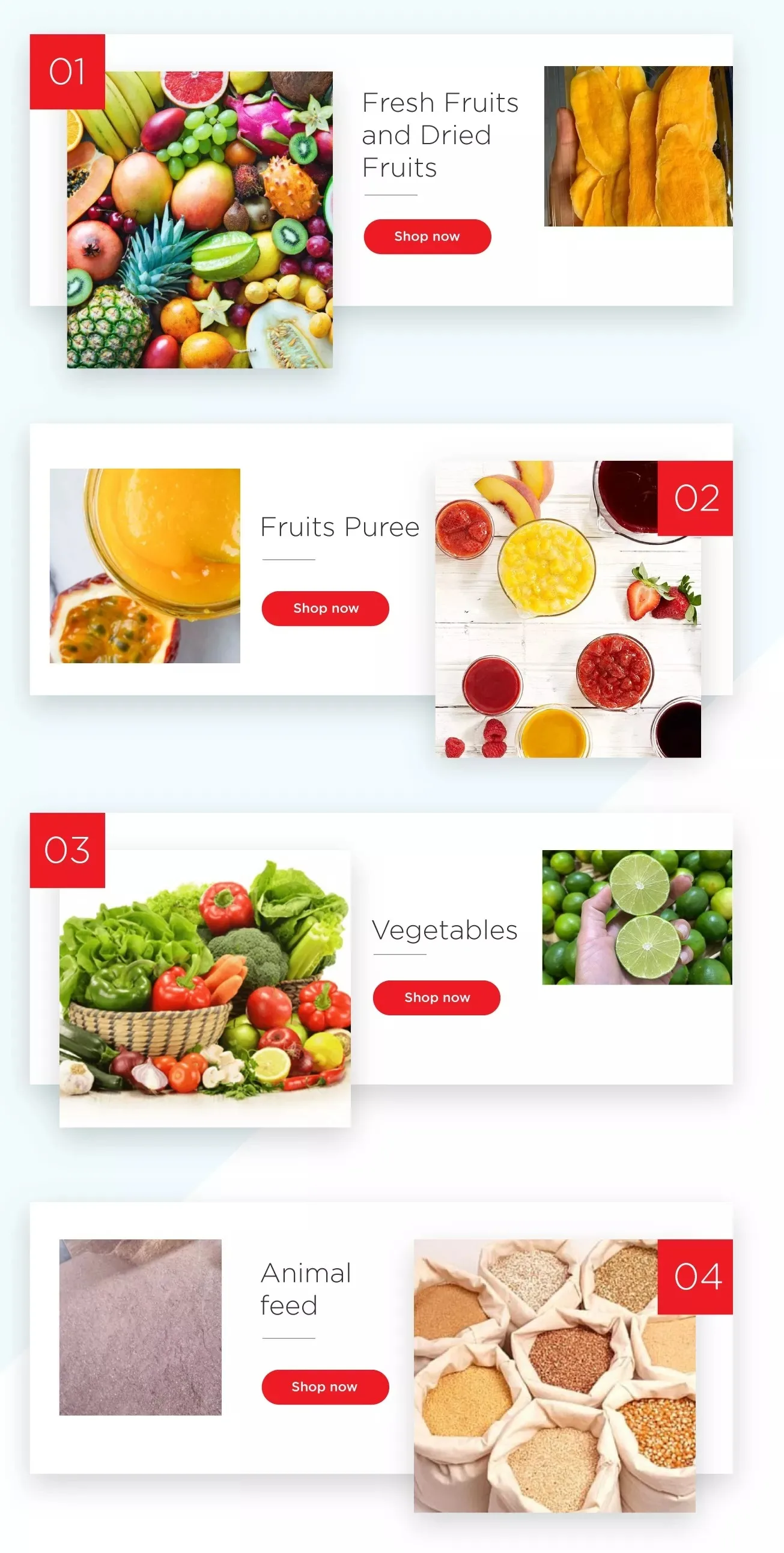 Bananas From Viet Nam Yellow Green Premium Tropical Banana Style ...