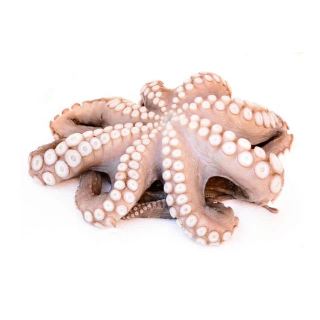 Cheap Frozen Baby Octopus/big Size Octopus With Competitive Price ...