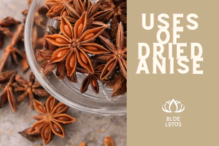 Best Price 2024 Dried Star Anise Aniseed Broken Flower - Buy Dried Star ...