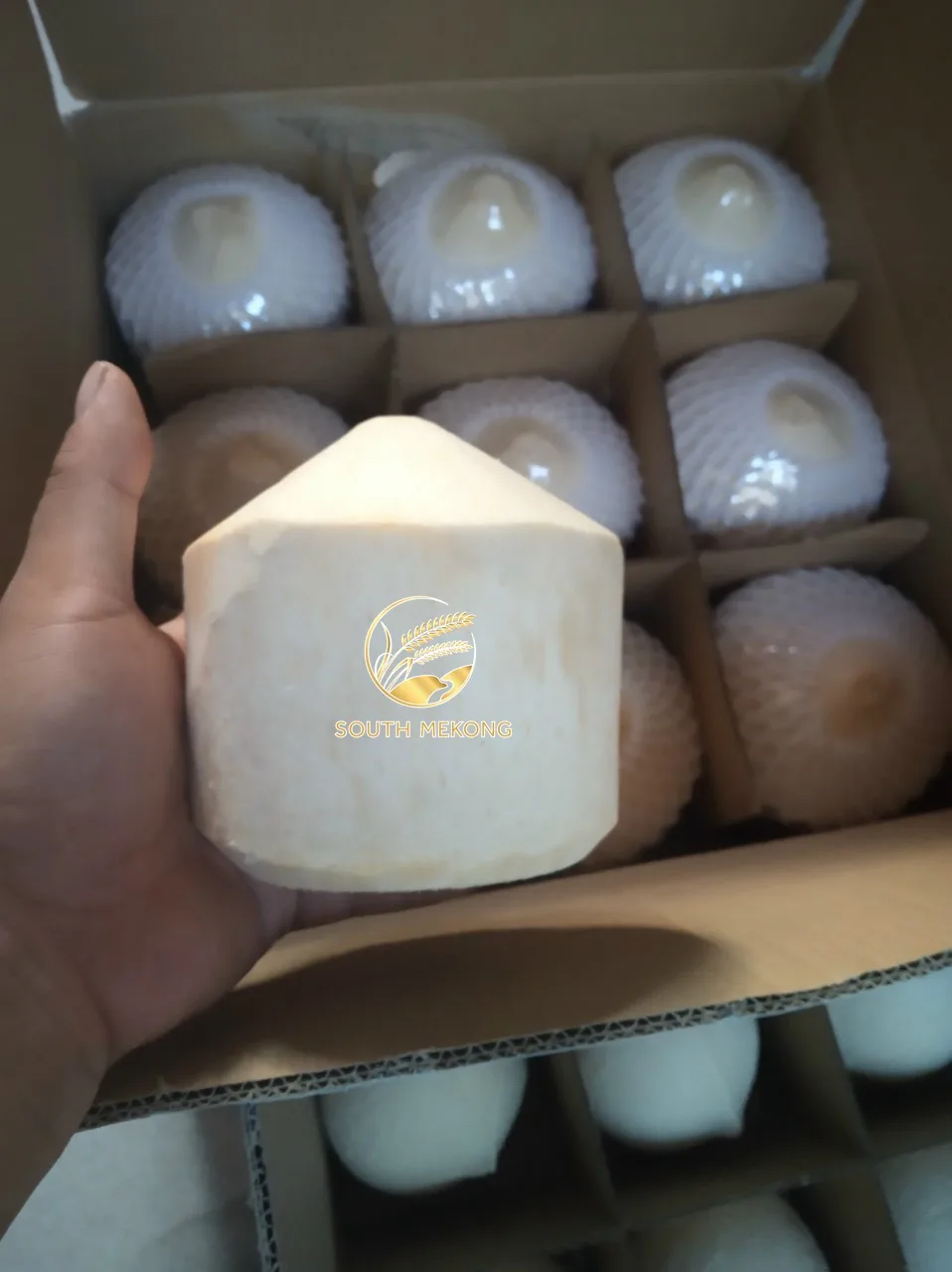 Fresh Young Coconut From Viet Nam Oem Brands Cheap Price Good Quality ...