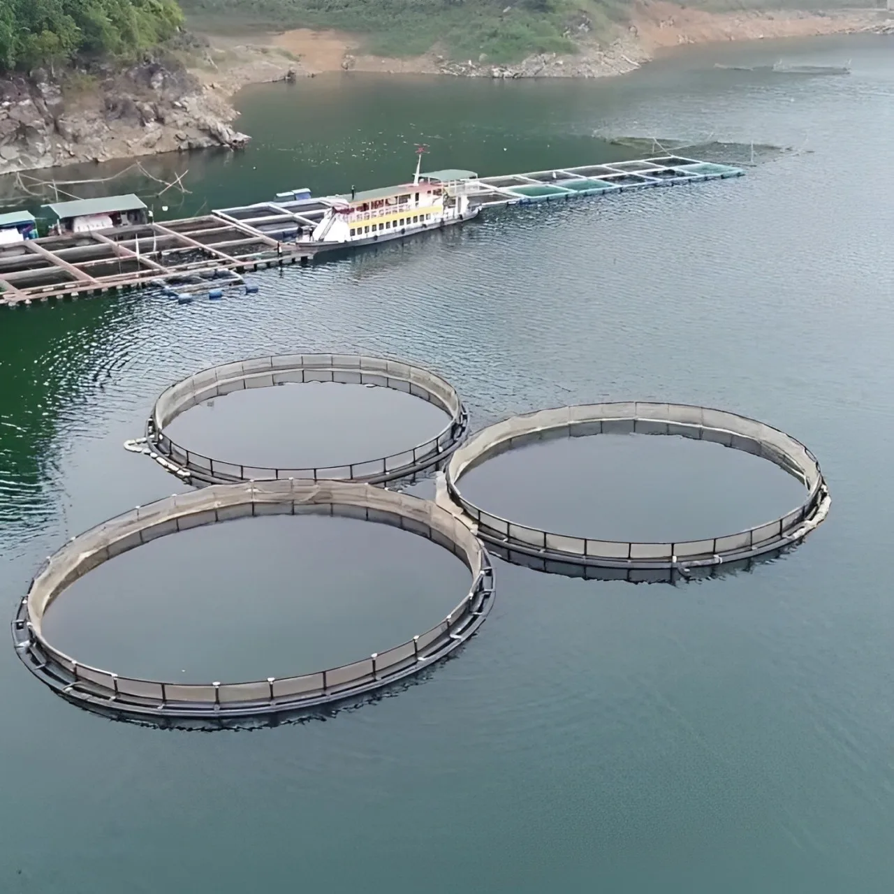 Aquaculture Fish Farming Cages Cage for Fish From Vietnam Manufacturer ...