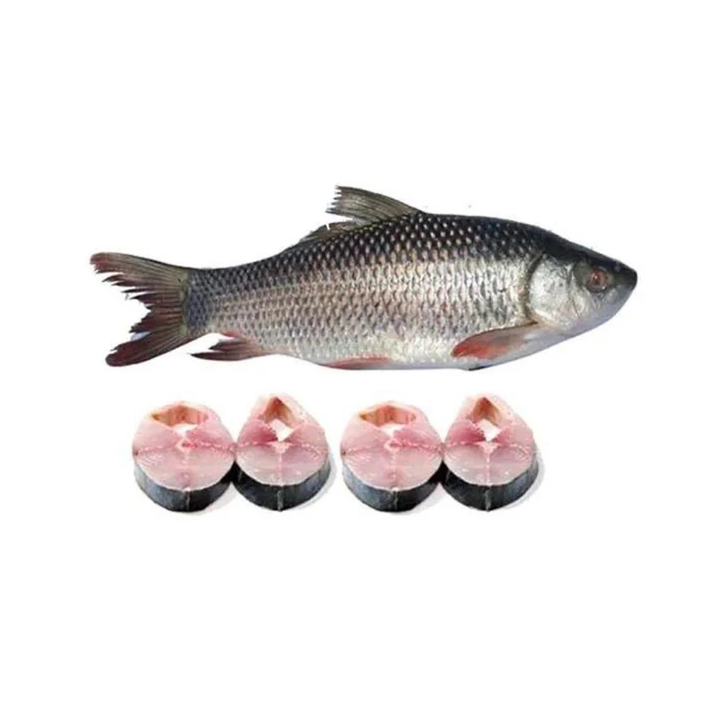FROZEN ROHU FISH WHOLE / ROHU FISH| Alibaba.com
