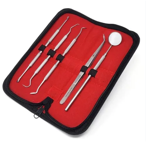 Stainless Steel Dental Hygiene Tool Kit 5pcs Calculus Remover Dental ...