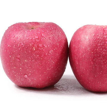 Fresh Apples ( Fuji,Gala,Red,Delicious Apples) Ready For Export France ...