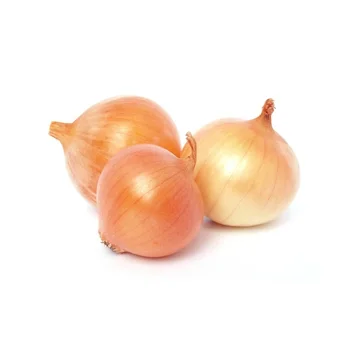 Bulk Stock Available Of Natural Fresh Red Onions At Wholesale Prices ...