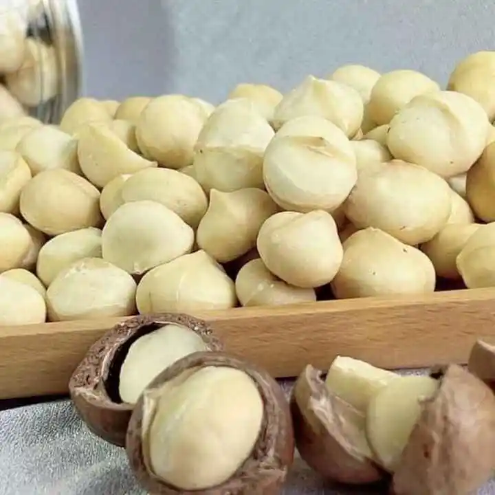 Raw Healthy Food 5kg Bag Dried Roasted Macadamia Da Lat Kernels Macadamia Nut From Lam Dong ...