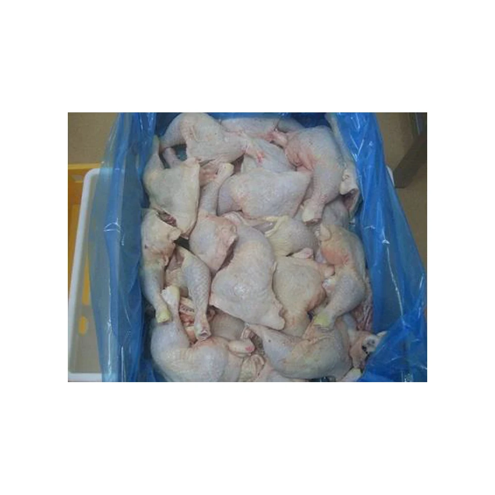 Gourmet Chicken Wing Bliss: Irresistible Goodness For Flavorful Bites ...