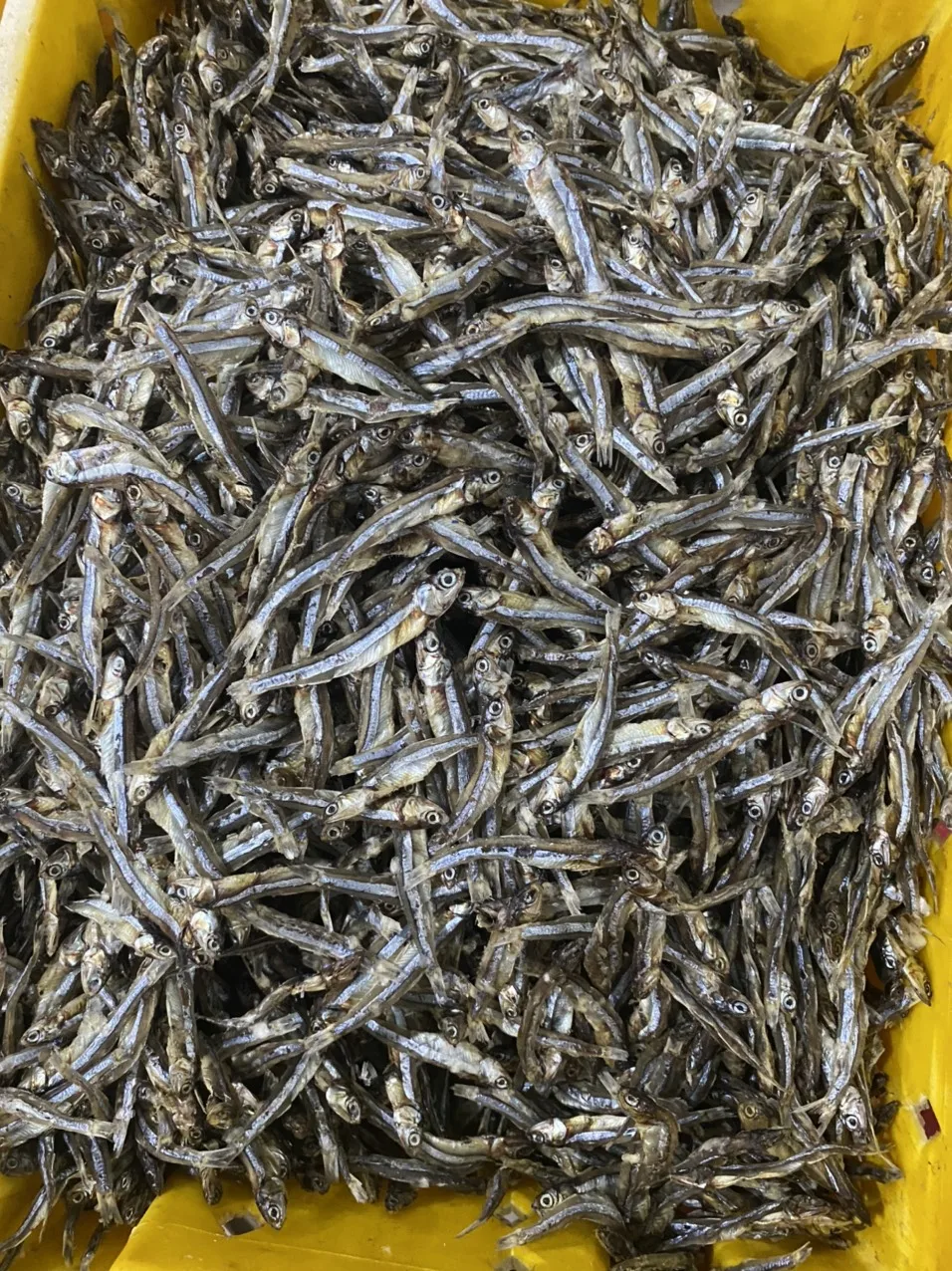 Vietnamese High Quality Dried Anchovy Fish With Head// Ms Jasmine ...