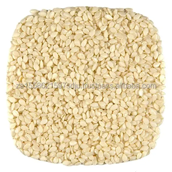 Top Grade Organic Sesame Seeds Hulled White Sesame Seed - Buy ...