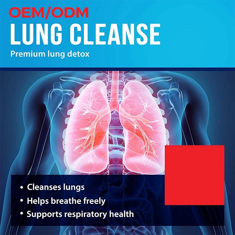 60 Capsules Lung Support Supplement Natural Capsules Mucus Clear Vegan Supplement For Lung Detox ...