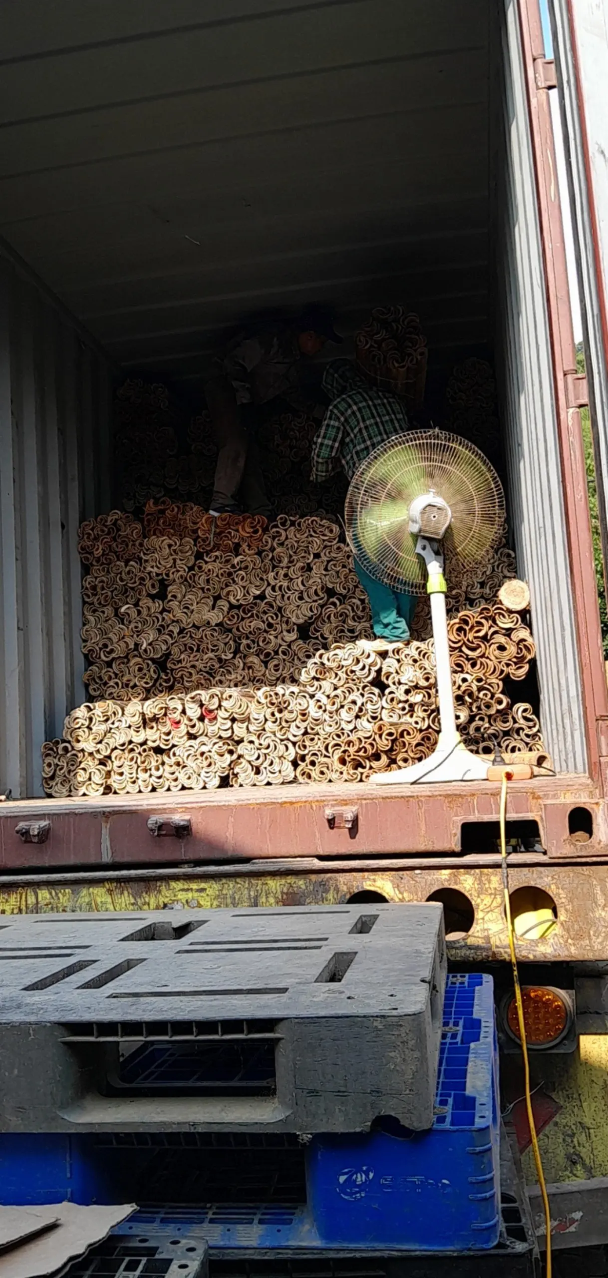 Split Half Cut Bamboo Poles Natural Materials Wholesale - High Quality ...