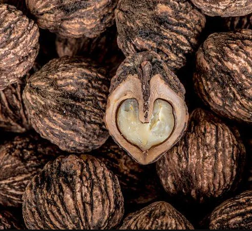 Top Grade Thin-skinned Black Walnut 185 Walnuts Without Shell Walnut Kernel In Bulk Quantity ...