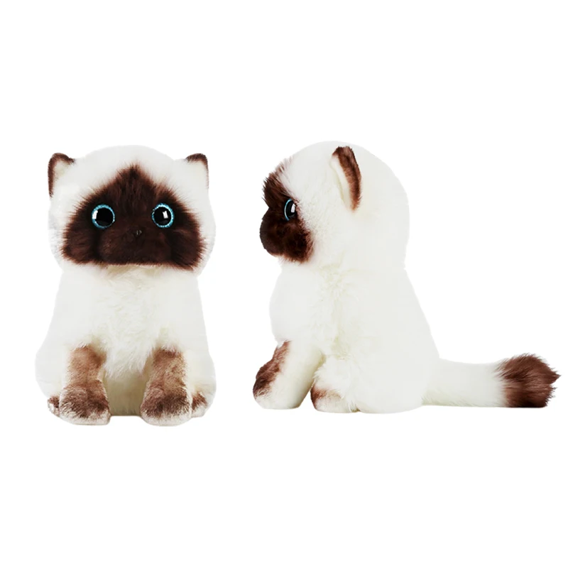 Realistic White Animal Ragdoll Cat Plush Doll Cheap Custom Animal ...