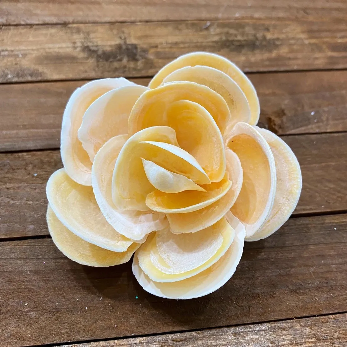Handmade Unique Style Seashell Crafts Decoration Flower Shaped Natural ...