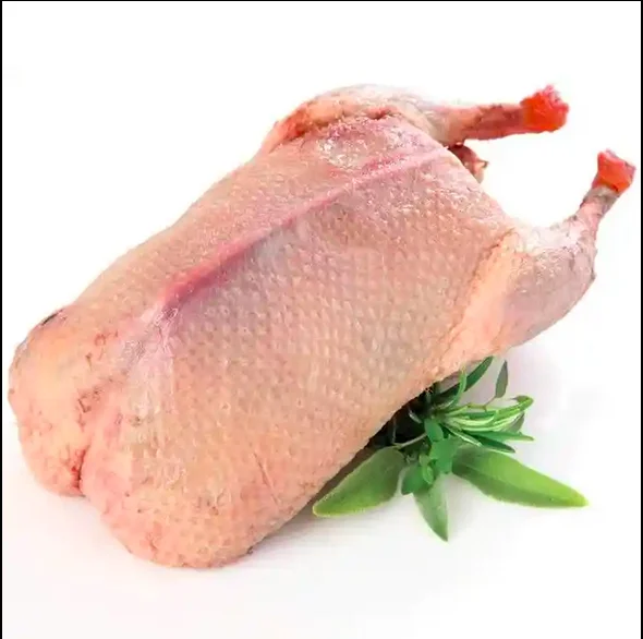 Halal Frozen Boneless Chicken Breast Meat A Grade Quality In A ...