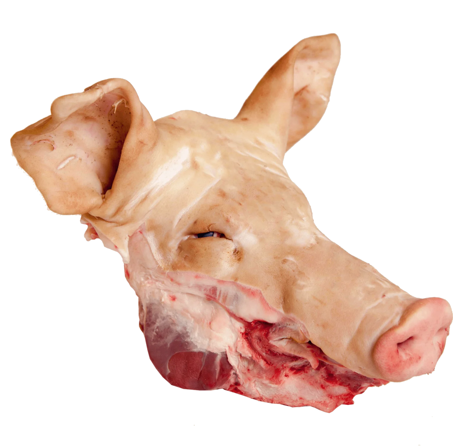 Frozen Pork Heads Fresh Pork Heads Pork Head Supplier Worldwide - Buy ...