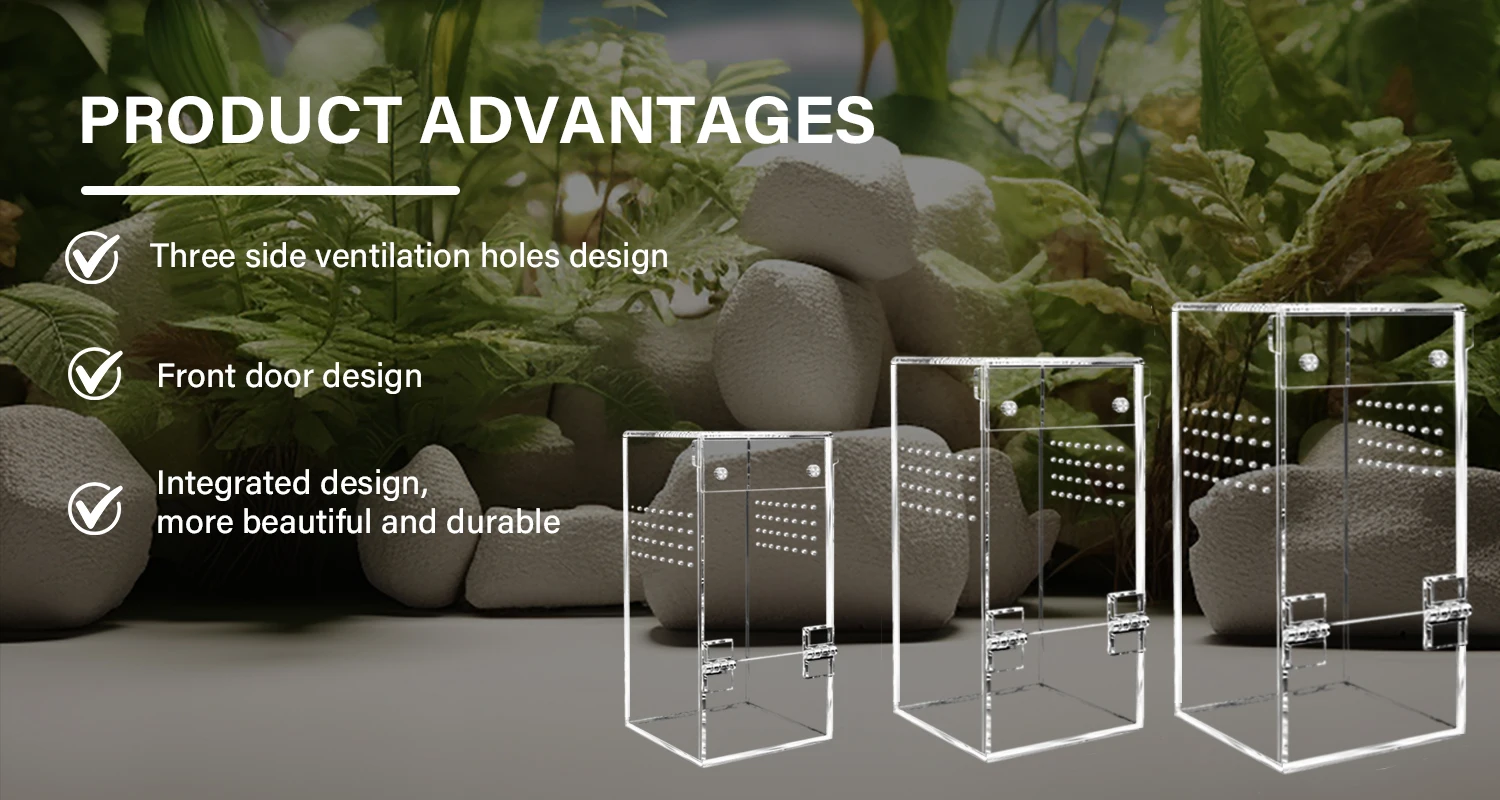 Classic Style Acrylic Terrarium Cages for Reptiles & Insects