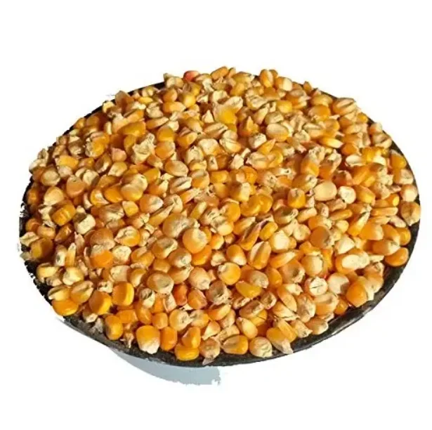 High Quality Bulk Corn Kernels Iqf Kernel Sweet Corn Cheap Price - Buy ...