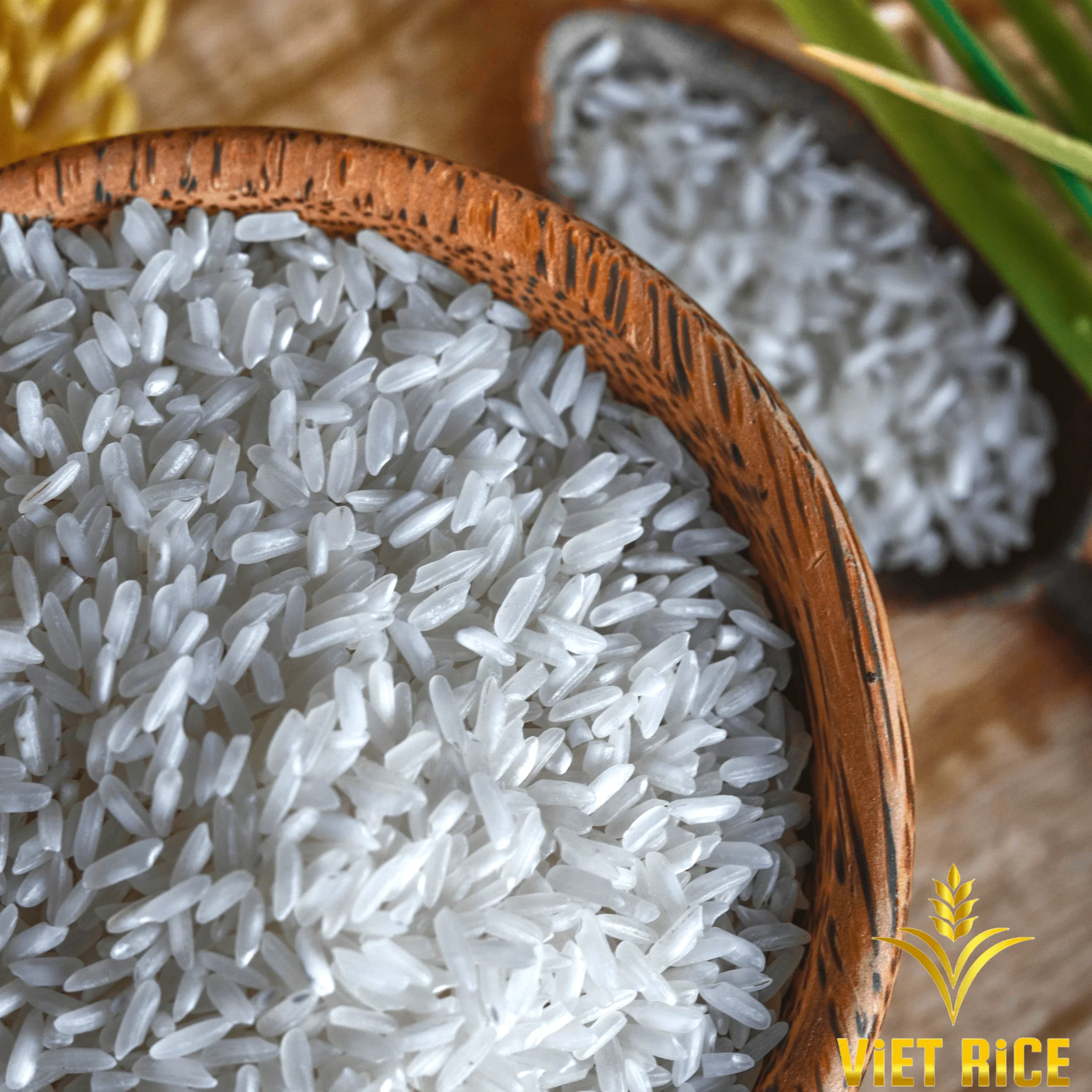 Ir504 5% Broken Premium Long Grain White Rice Supplied From Vietnam ...