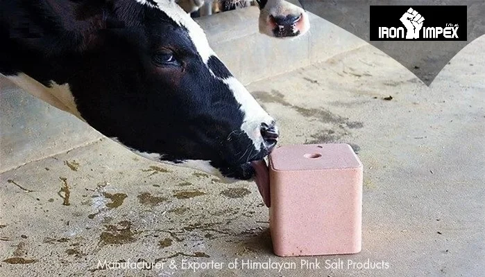 Bloque de sal del Himalaya más vendido, fabricante de sal para animales ...