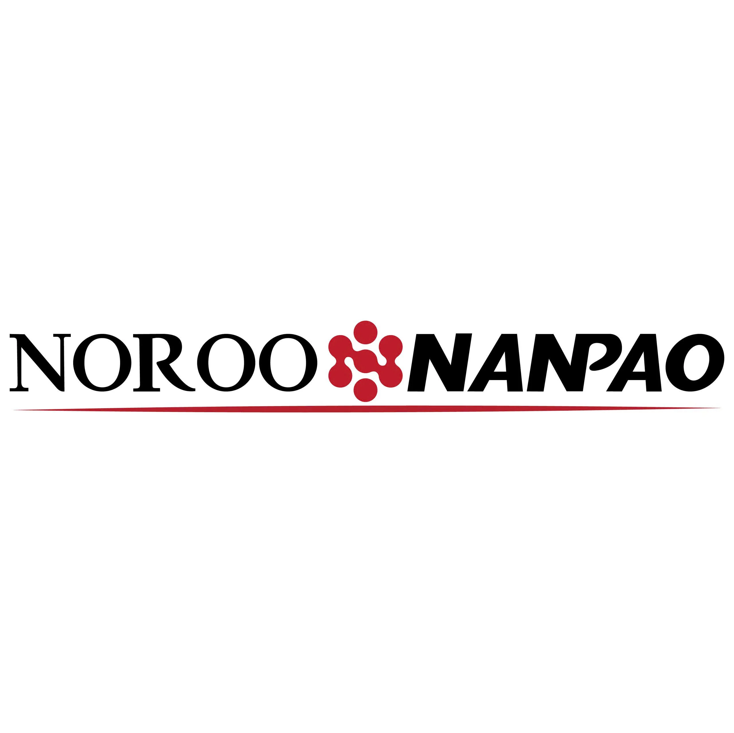 Company Overview - NOROO-NANPAO PAINTS & COATINGS (VIETNAM) CO., LTD.