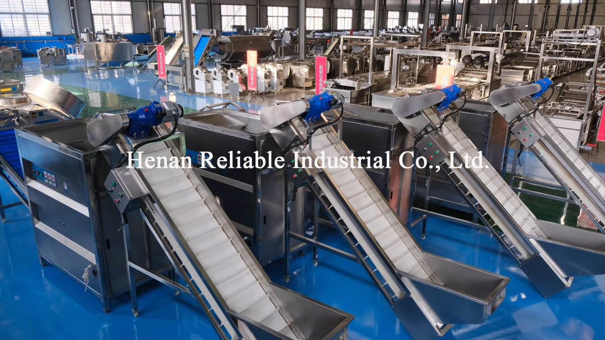 High Efficiency Onion Dehydration Plant for Powder Production