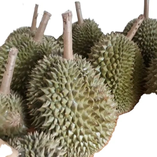 The King of Fruits Tropical Fruit Frozen Durian Ri6 And Monthong with ...