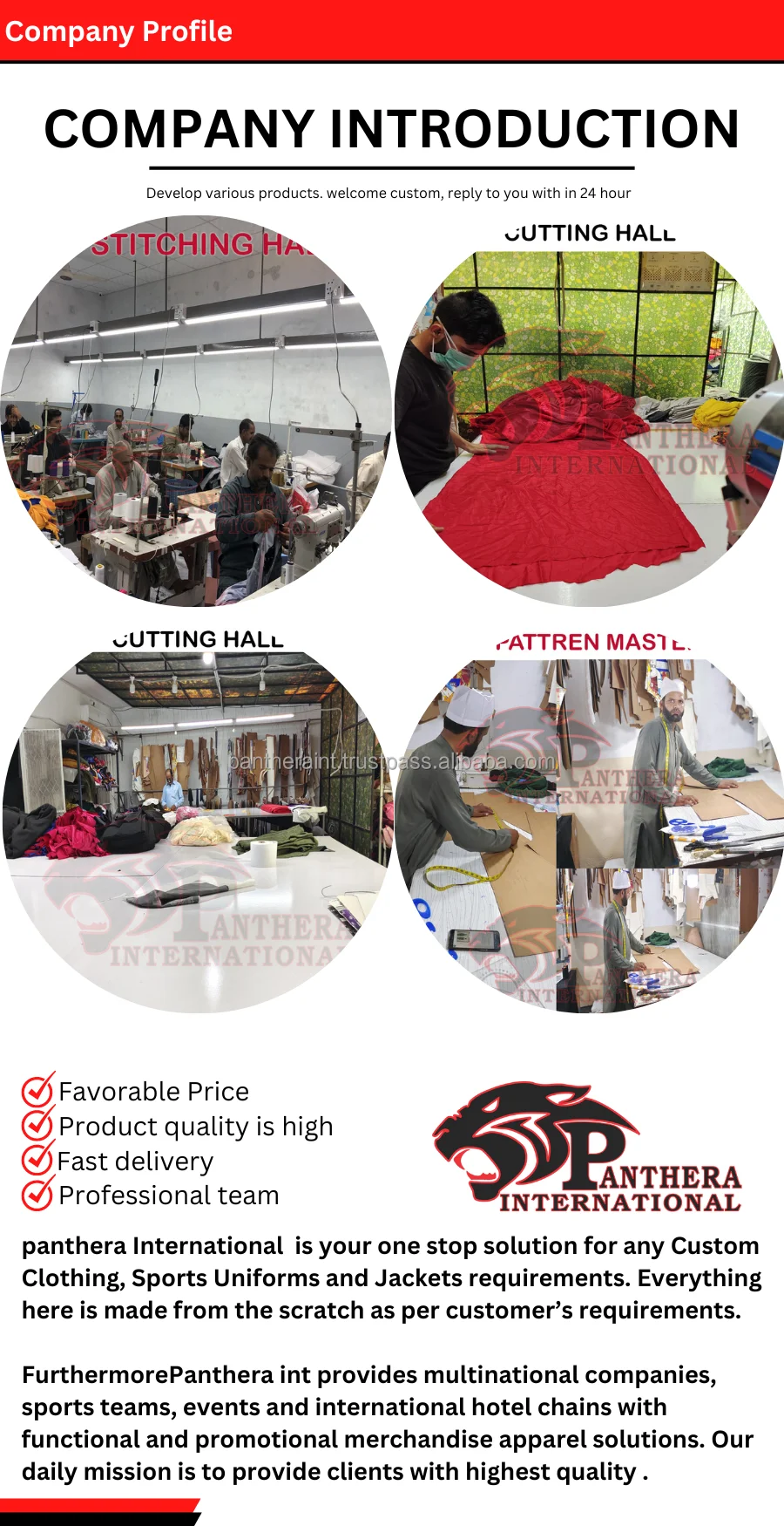 Sexy Ladies Bra Women Underwire Custom Sexy Lingeries Red Lace Push Up ...