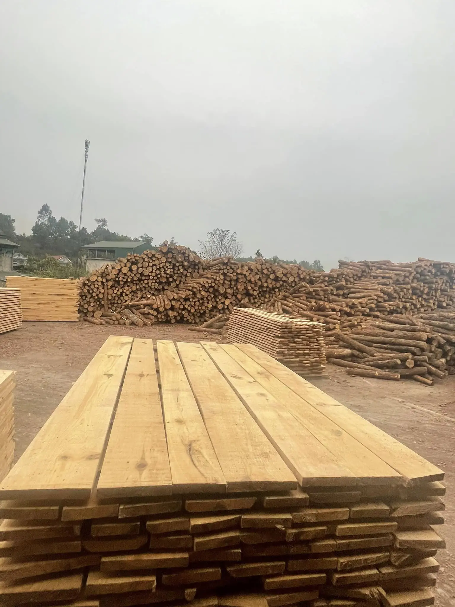 Top Ranking Pine Wood Timber Lumber For Wholesale Construction Natural ...