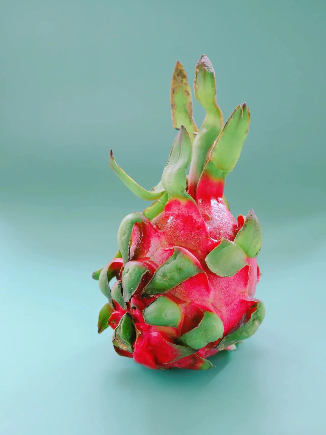 Vietnam Red Flesh Fresh Dragon Fruit Good Price Available For Export ...