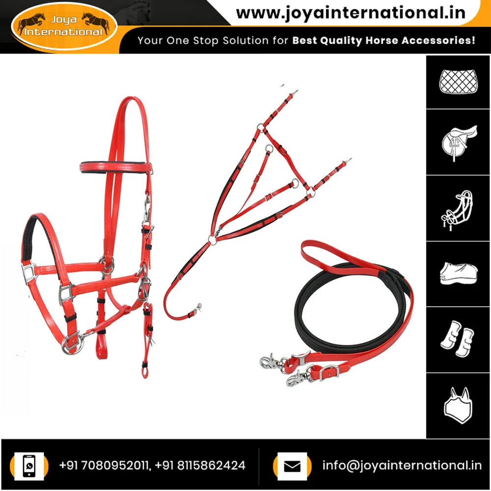 Show Halter For Your Equine,The Halter Is The Ultimate In Luxury Fancy White Stitching The ...