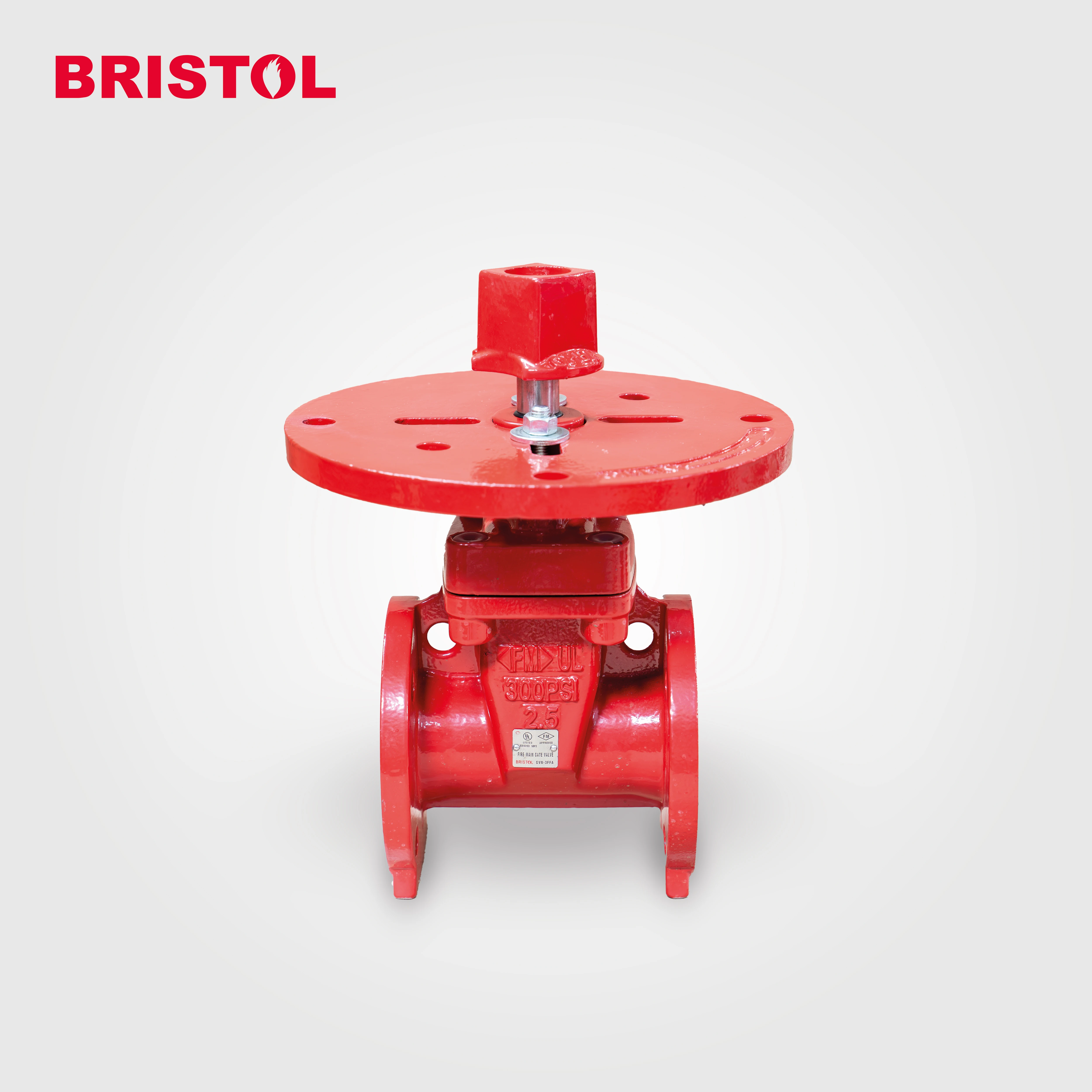 12" PN16 Flanged NRS Gate Valve (300psi, Resilient Wedge, Bristol, GVN ...