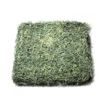 Top Grade Alfafa Hay For Animal Feeding Stuff Alfalfa / Timothy ...