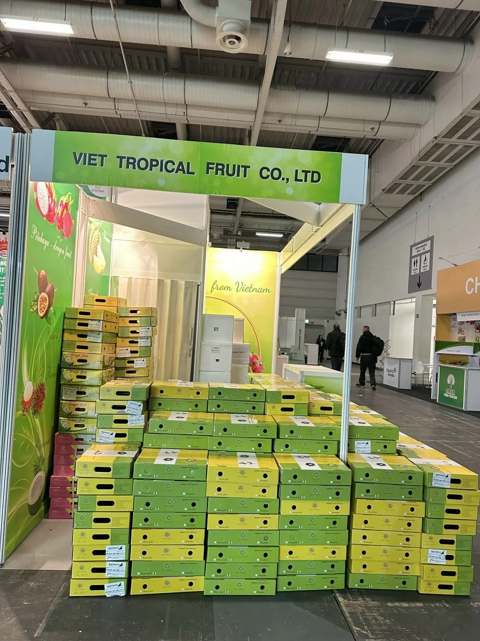 Whole Avocados High Quality Whole Avocados Customized Packaging Made In ...