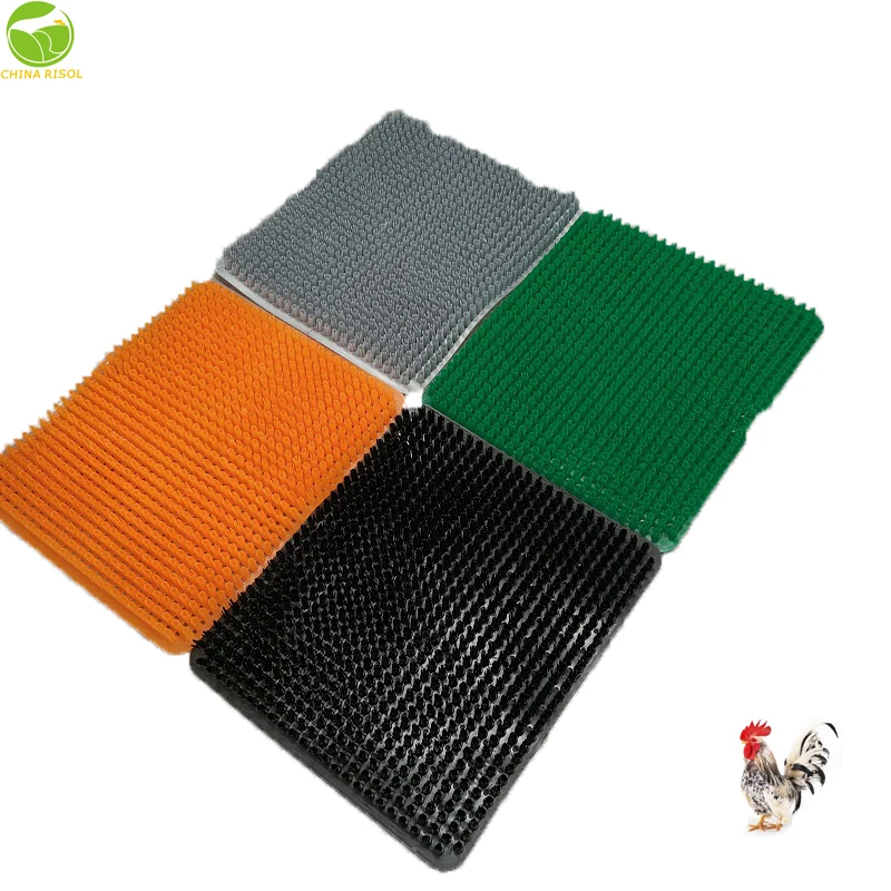 Plastic Black Clean Bird Chicken Coop Supplier Pigeon Egg Washable Nest ...