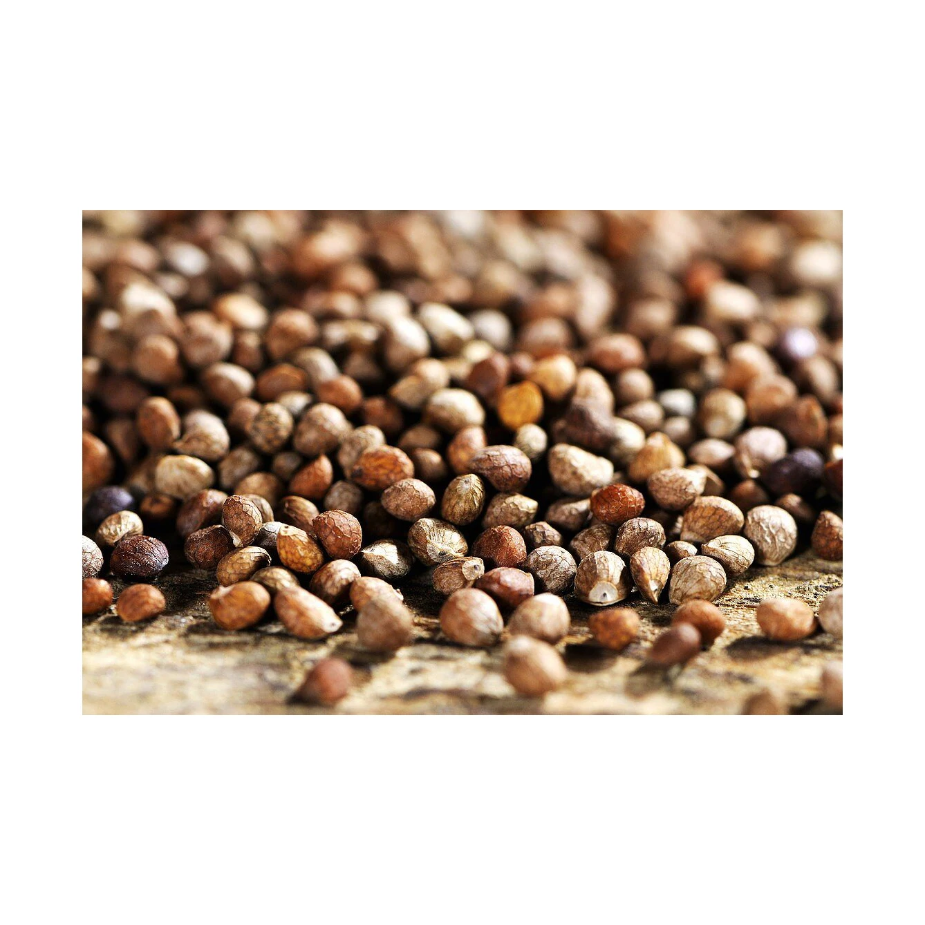 High Quality White Perilla Seeds for Low Price Sale Perilla Seeds ...