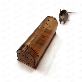 Plastic Mouse Catch Live Box Trap Best Sellers Products High Quality ...