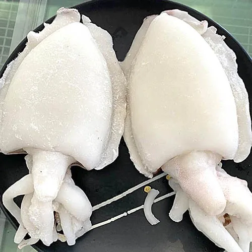 Cuttlefish/frozen Whole Cuttle Fish/fillets And Baby Cuttlefish/fresh ...