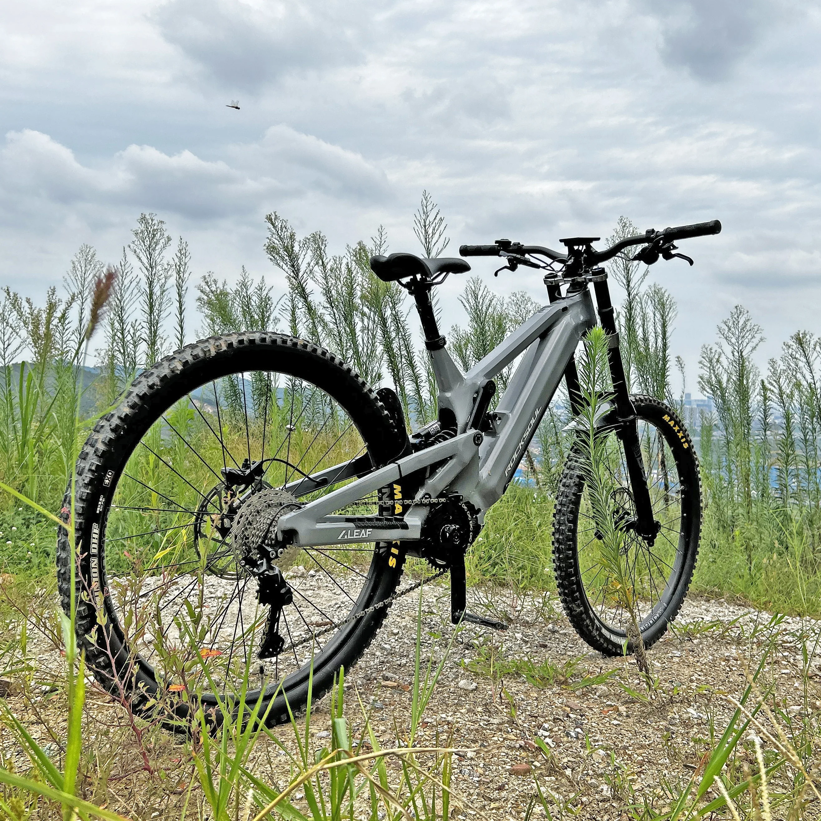 4LEAF Downhill Mountain Ebike - Full Suspension & Power