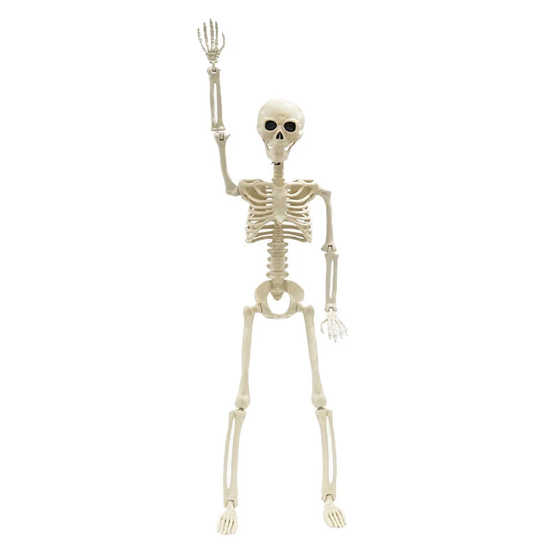 Custom Size Scary Pumpkins Skeleton Halloween Party Decor