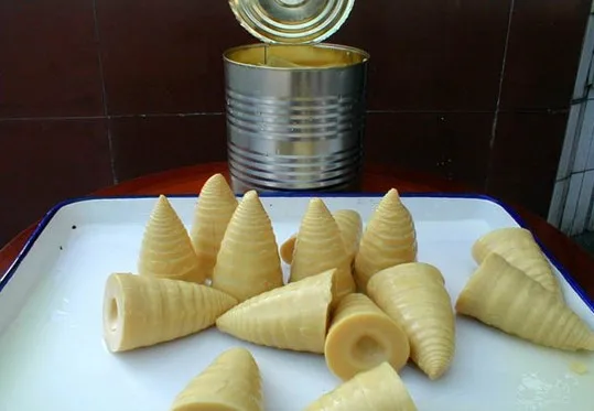 Premium Canned Fresh Bamboo Shoots - Taste Asian Dishes