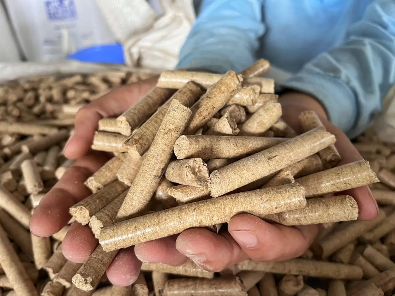 Din Plus Wood Pellets - Buy Wood Pallet,Wooden Pallets,Wood Chips ...