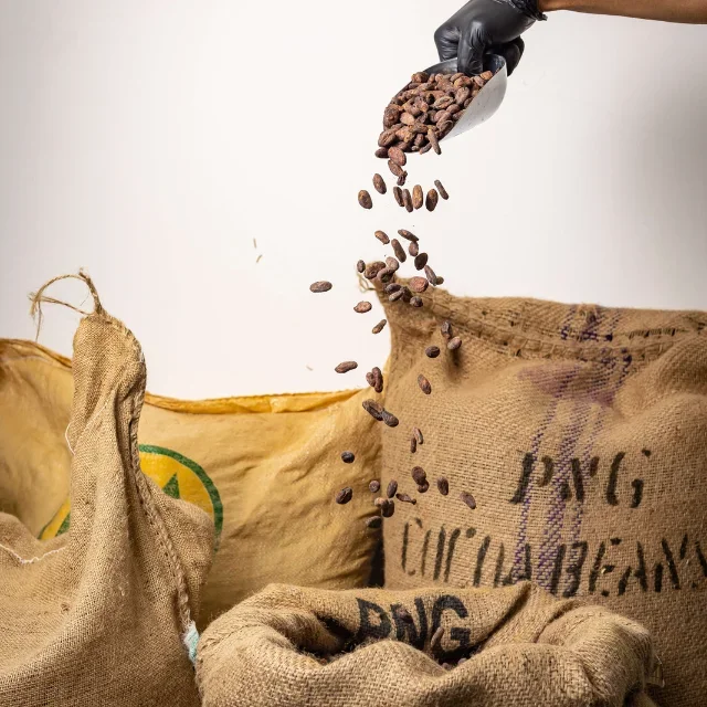 Thailand Robusta Coffee Bean Scr16 Scr18 Wash Clean Wet Polish High Quality Wholesale Best Price ...