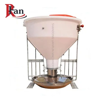 Automatic Feeding Tank For Pigs Saves Feed And Increases Feed Intake ...